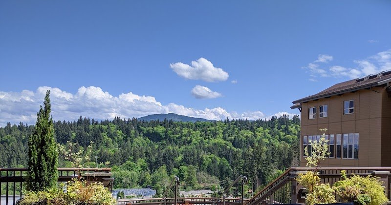 Timber Ridge at Talus, Issaquah WA: Pricing & Availability | Olera.care